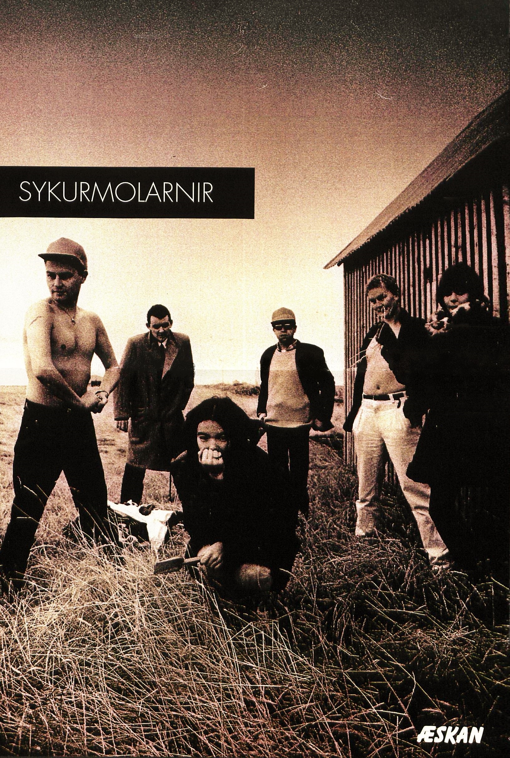 Sykurmolarnir (1986-92) | Glatkistan